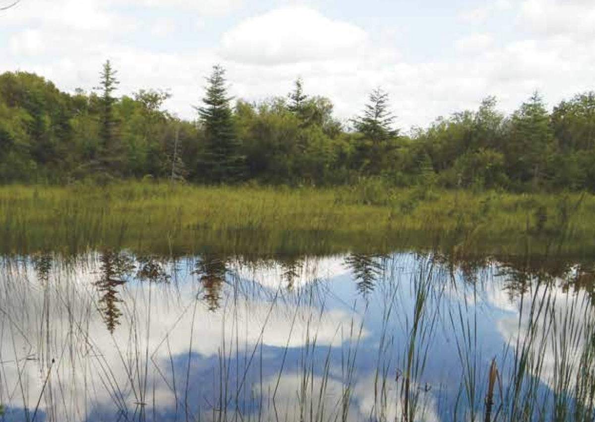 Step by Step: - Conservation Areas Initiative